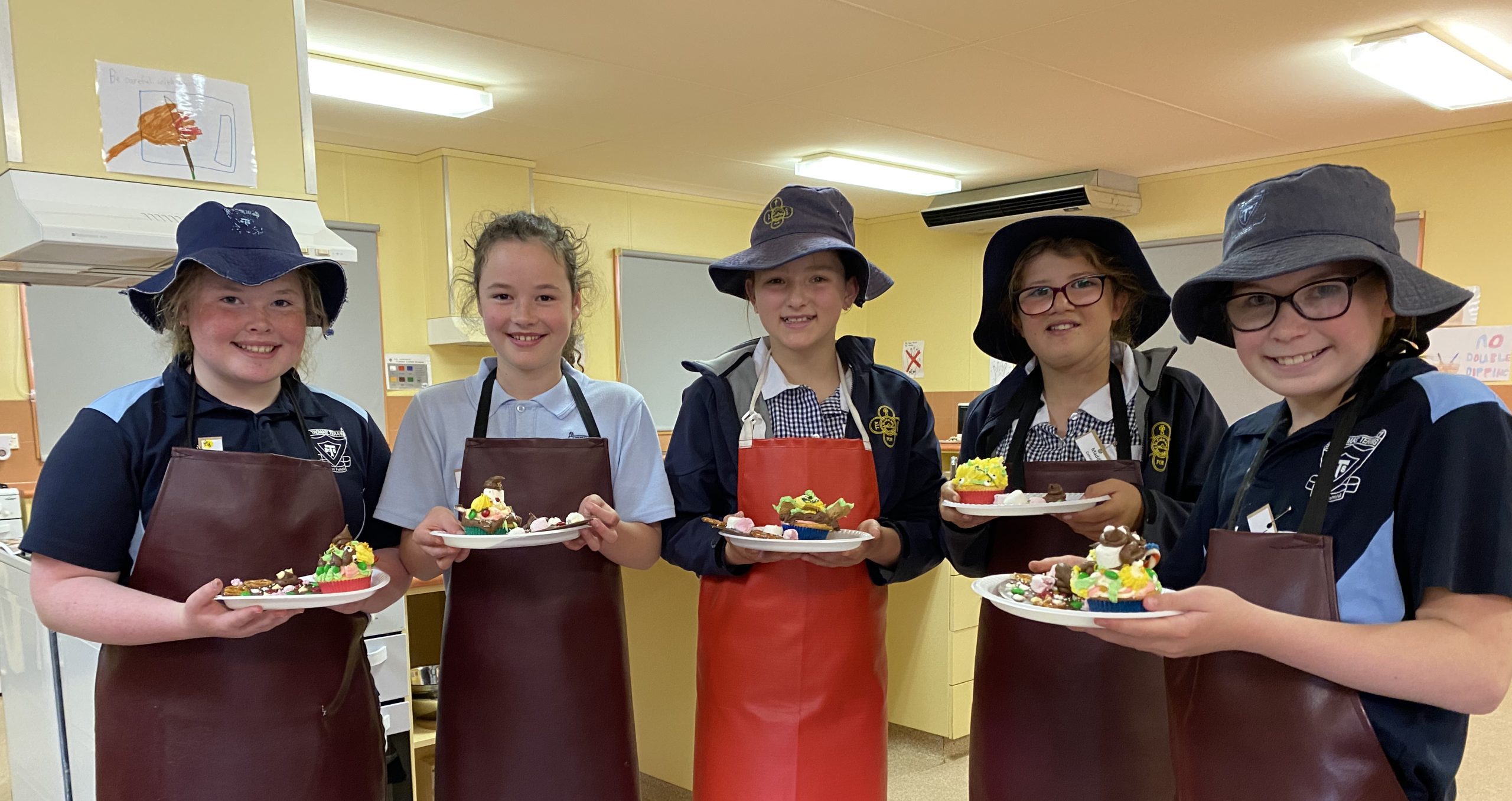 HCSN - Mercy Regional College